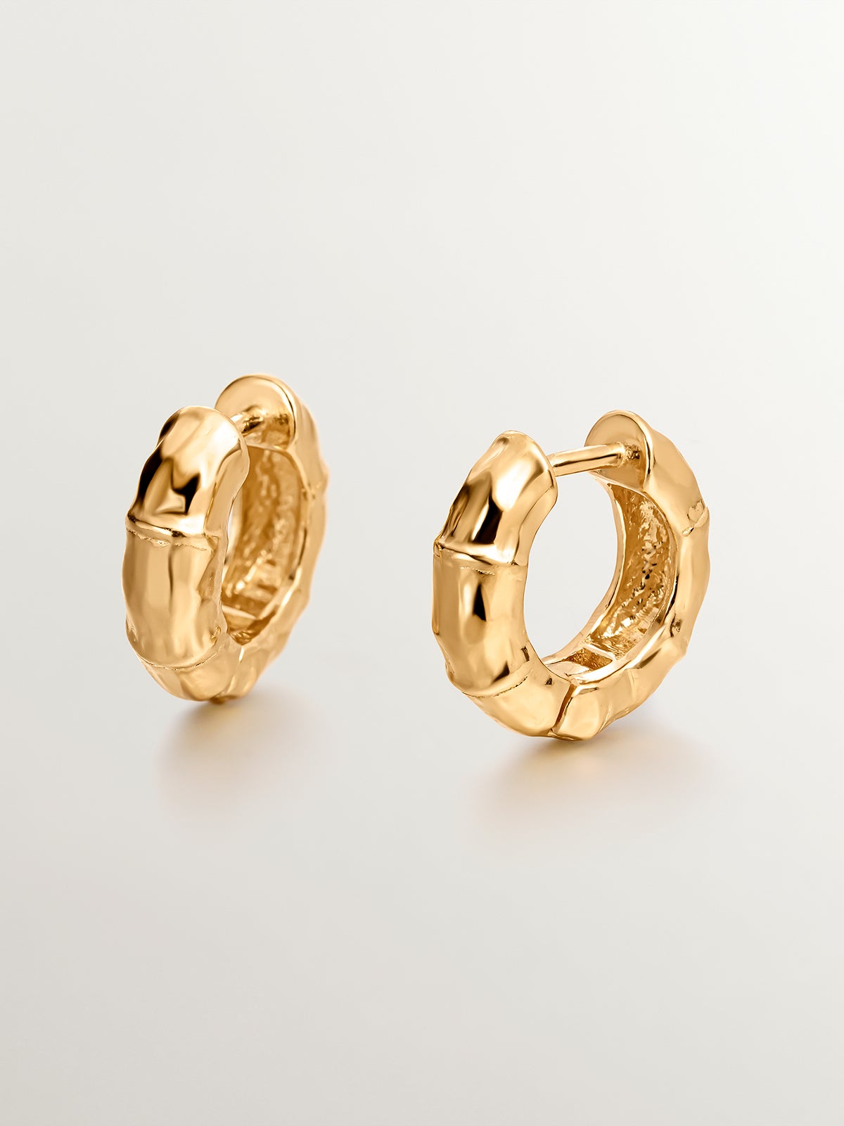 Hoop Earrings Aristocrazy